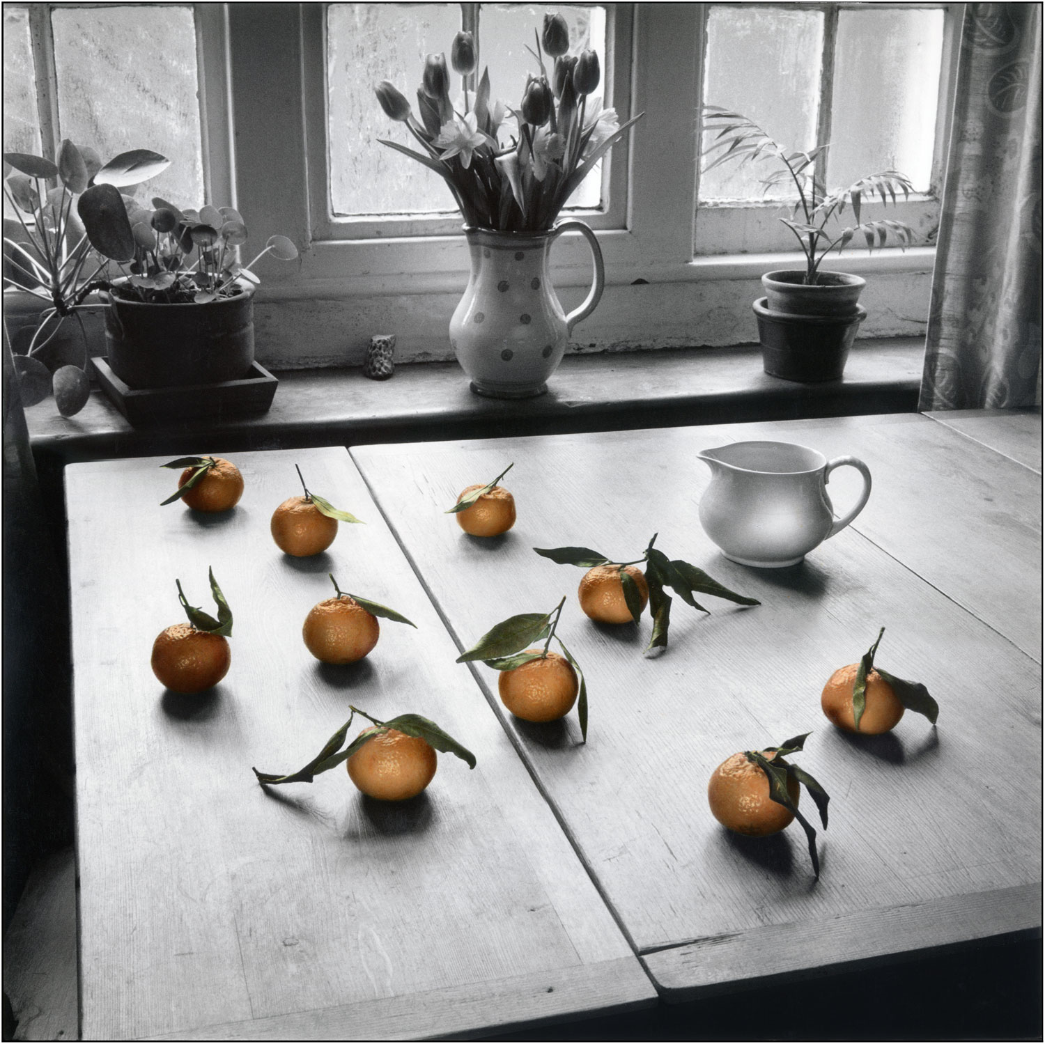 Hand Coloring Photographs